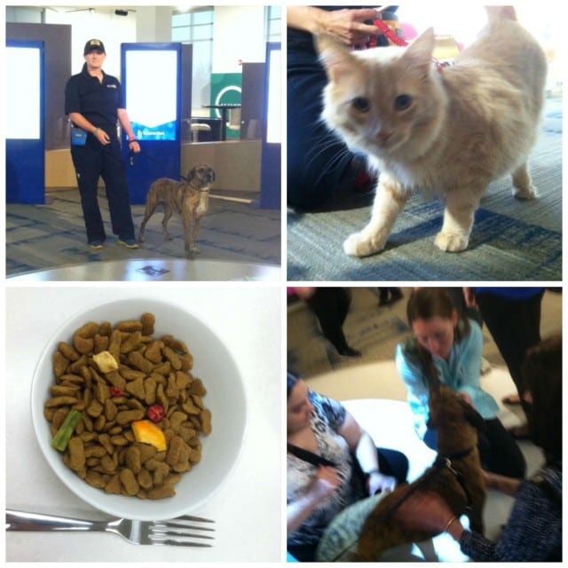 Tripawds Tours the Mars Petcare Global Innovation Center