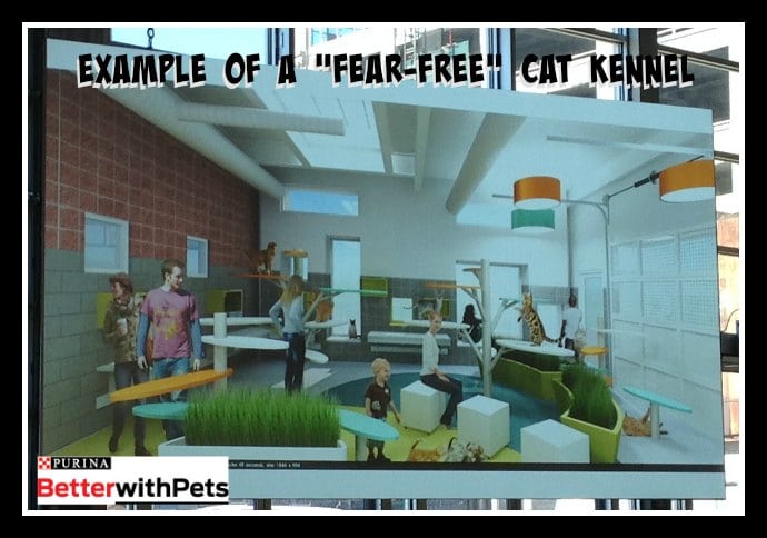 Top #BetterWithPets Tips to Create Fear-Free Pet Environments