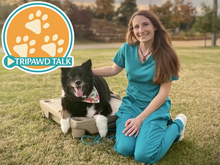 Why Behavior Therapy and Canine Rehabilitation are a Winning ...